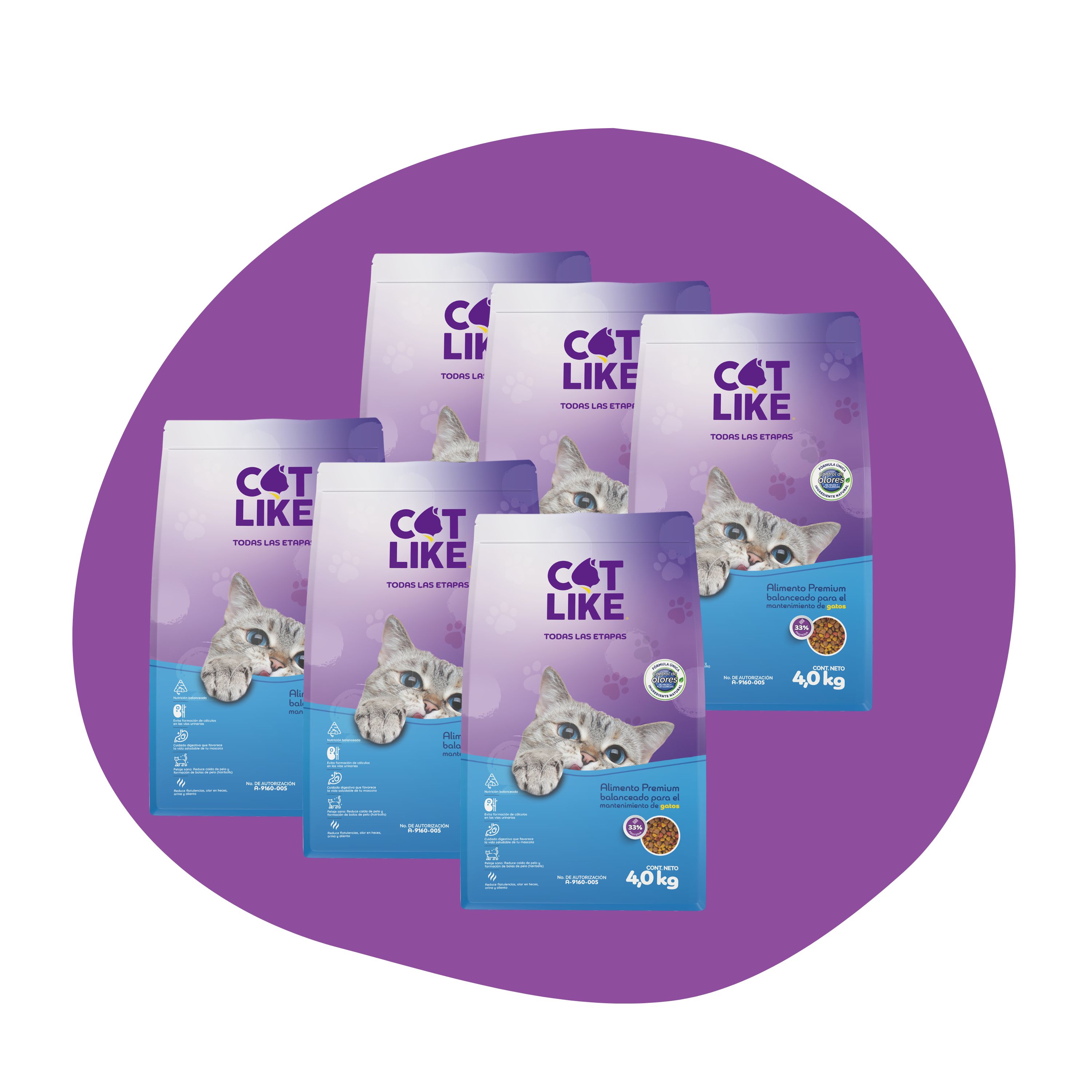 6 Pack Cat Like 4 kg – Winners Mark